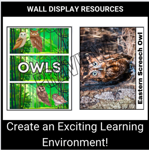 All About Owls: Non-Fiction Literacy Unit | Teaching Resources