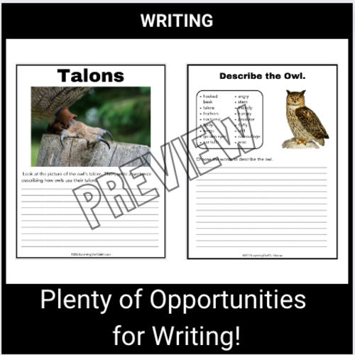 All About Owls: Non-Fiction Literacy Unit | Teaching Resources
