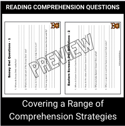 All About Owls: Non-Fiction Literacy Unit | Teaching Resources