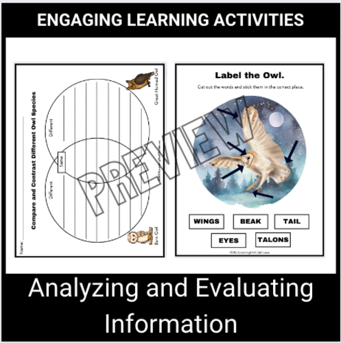 All About Owls: Non-Fiction Literacy Unit | Teaching Resources