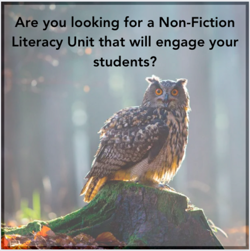 All About Owls: Non-Fiction Literacy Unit | Teaching Resources