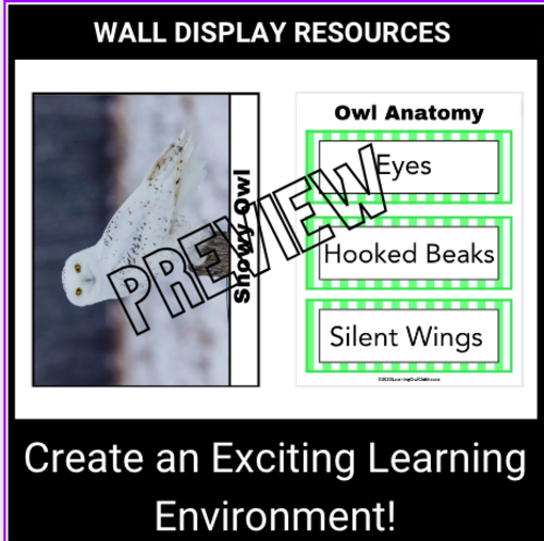 All About Owls: Non-Fiction Literacy Unit | Teaching Resources