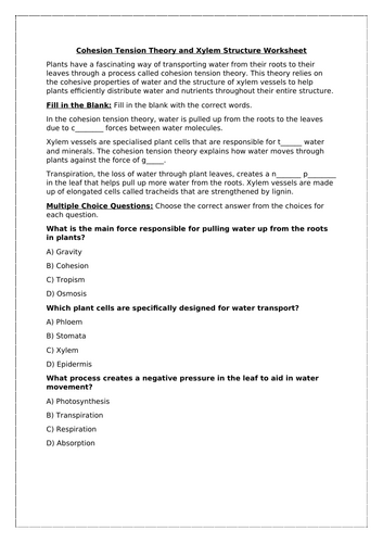 Cohesion Tension Theory & Xylem Worksheet | Teaching Resources