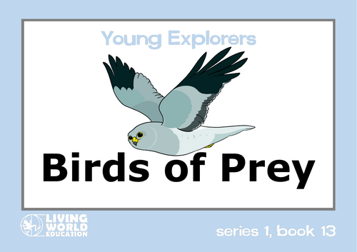 Birds of Prey e-book NATURE WILDLIFE | Teaching Resources