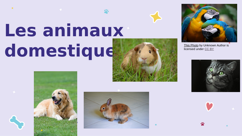 Les animaux domestiques | Teaching Resources