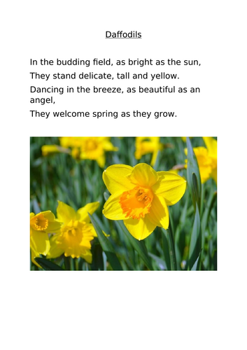 Daffodil Poem T4W | Teaching Resources