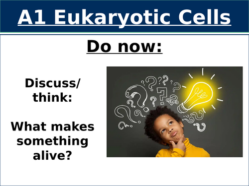 BTEC International Level 2 Unit 1: Principles of Science - A Biology ...