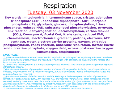 Edexcel (SNAB) A-level Topic 7 Notes | Teaching Resources Edexcel (SNAB) A-level Topic 7 Notes | Teaching Resources