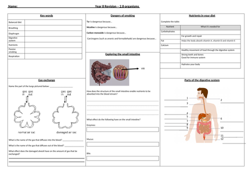 KS3 Biology AQA Revision mats | Teaching Resources