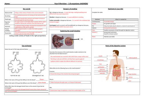 KS3 Biology AQA Revision mats | Teaching Resources