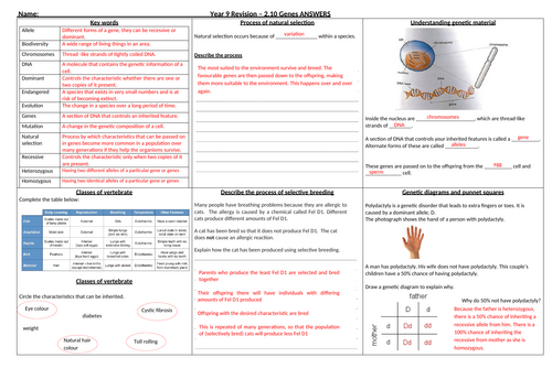 KS3 Biology AQA Revision mats | Teaching Resources