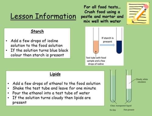 KS3 Biology Food Tests Full Lesson Presentation and Resources ...