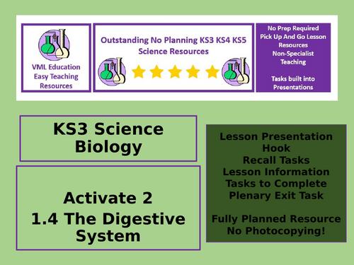 KS3 Biology The Digestive System Full Lesson Presentation and Resources ...