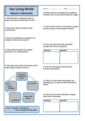 Our Living World - Nature's Networks | Teaching Resources