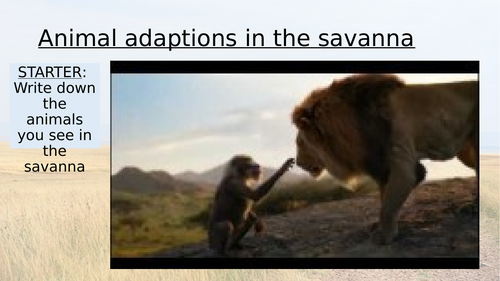 Savanna Animal Adaptations | Teaching Resources