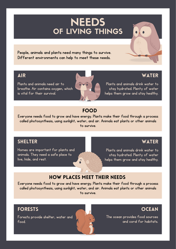 Science Living Things Poster | Teaching Resources