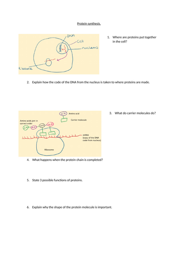 AQA GCSE Biology "Lesson 3-Protein Synthesis" BIO HT ONLY (Inheritance ...