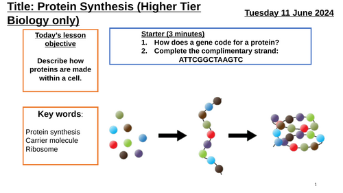 AQA GCSE Biology (Combined Trilogy and Triple/Separate Science ...