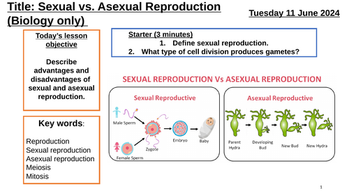 AQA GCSE Biology Lesson 6- Asexual Sexual Reproduction BIO ONLY ...