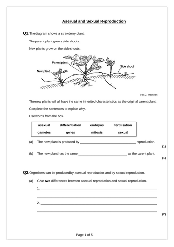 AQA GCSE Biology Lesson 6- Asexual Sexual Reproduction BIO ONLY ...