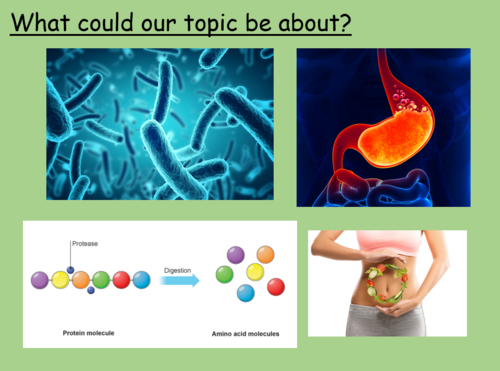 KS3 Biology Enzymes In Digestion Full Lesson Presentation and Resources ...