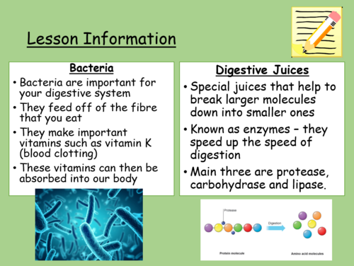 KS3 Biology Enzymes In Digestion Full Lesson Presentation and Resources ...