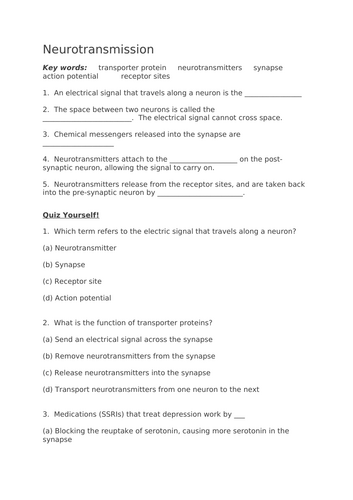 Structure and function of neurons - Biopsychology A Level Psychology ...