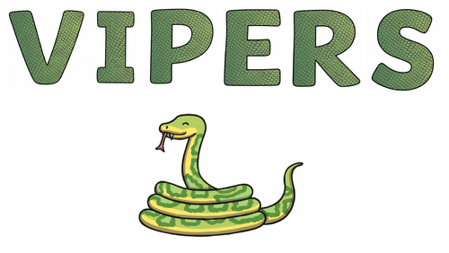VIPERS reading lessons | Teaching Resources