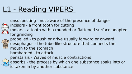 Vipers Reading Lessons Teaching Resources