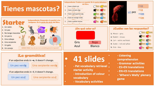 Viva 1, Module 1.5 - Tienes mascotas | Teaching Resources