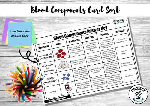 Blood Components Card Sort [Cut and Paste Activity] | Teaching Resources
