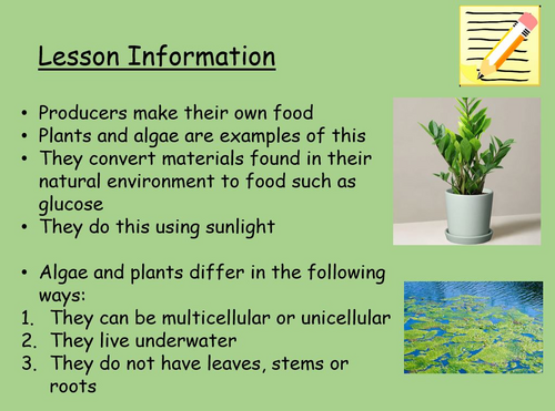 KS3 Biology Photosynthesis Full Lesson Presentation and Resources ...