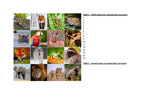 AQA A Level Psychology - Memory - Coding, capacity and duration ...