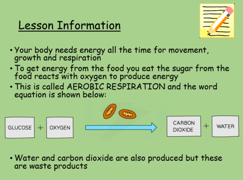 KS3 Biology Aerobic Respiration Full Lesson Presentation and Resources ...
