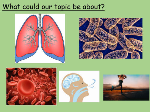 KS3 Biology Aerobic Respiration Full Lesson Presentation and Resources ...