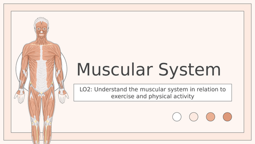 CTEC Sport - Unit 1 - Muscular System - 2.1 & 2.2 | Teaching Resources
