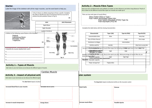 CTEC Sport - Unit 1 - Muscular System - 2.4, 2.5 & 2.6 | Teaching Resources