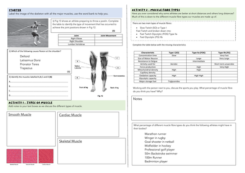 CTEC Sport - Unit 1 - Muscular System - 2.4, 2.5 & 2.6 | Teaching Resources