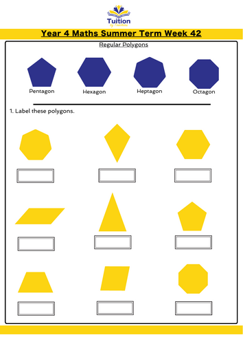 Year 4 - 2D Shapes- Regular Polygons, Lines of Symmetry and Completing ...