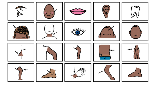 Welsh Basics Body Parts Words / Pictures | Teaching Resources