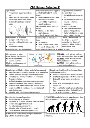 Edexcel GCSE Biology CB4 Natural Selection F | Teaching Resources