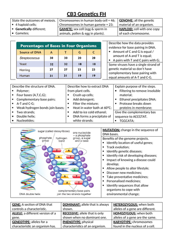 Edexcel GCSE Biology SB3 Protein Synthesis | Teaching Resources