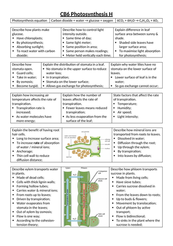 Edexcel GCSE Biology SB6 Plant Adaptations & Hormones | Teaching Resources