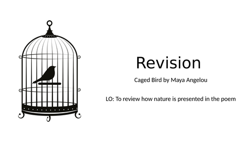 'Caged Bird' Review | Teaching Resources