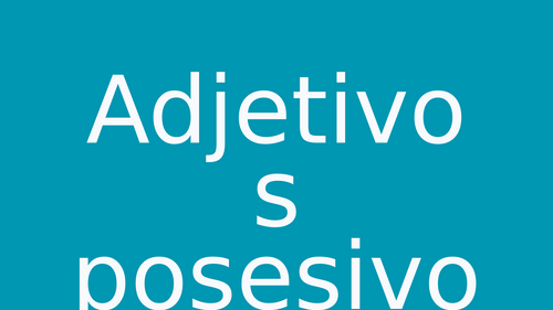 Spanish Possessive Adjectives Adjetivos posesivos Gramatica Grammar ...