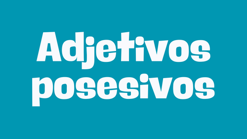 Spanish Possessive Adjectives Adjetivos posesivos Gramatica Grammar ...