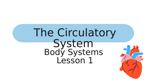 CfE BGE Body Systems - Circulatory System PowerPoints | Teaching Resources