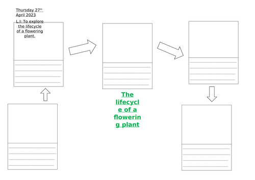 Plants Year 3 | Teaching Resources