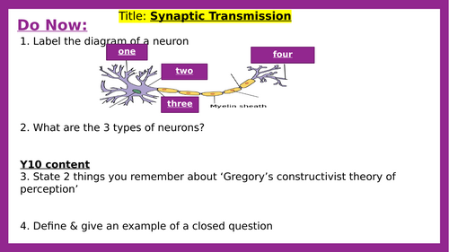 Synaptic Transmission GCSE Psychology | Teaching Resources