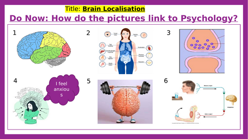 Brain Localisation GCSE Psychology AQA | Teaching Resources